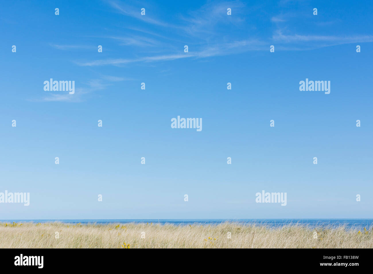 Horizon over sea and clear sky Stock Photo - Alamy