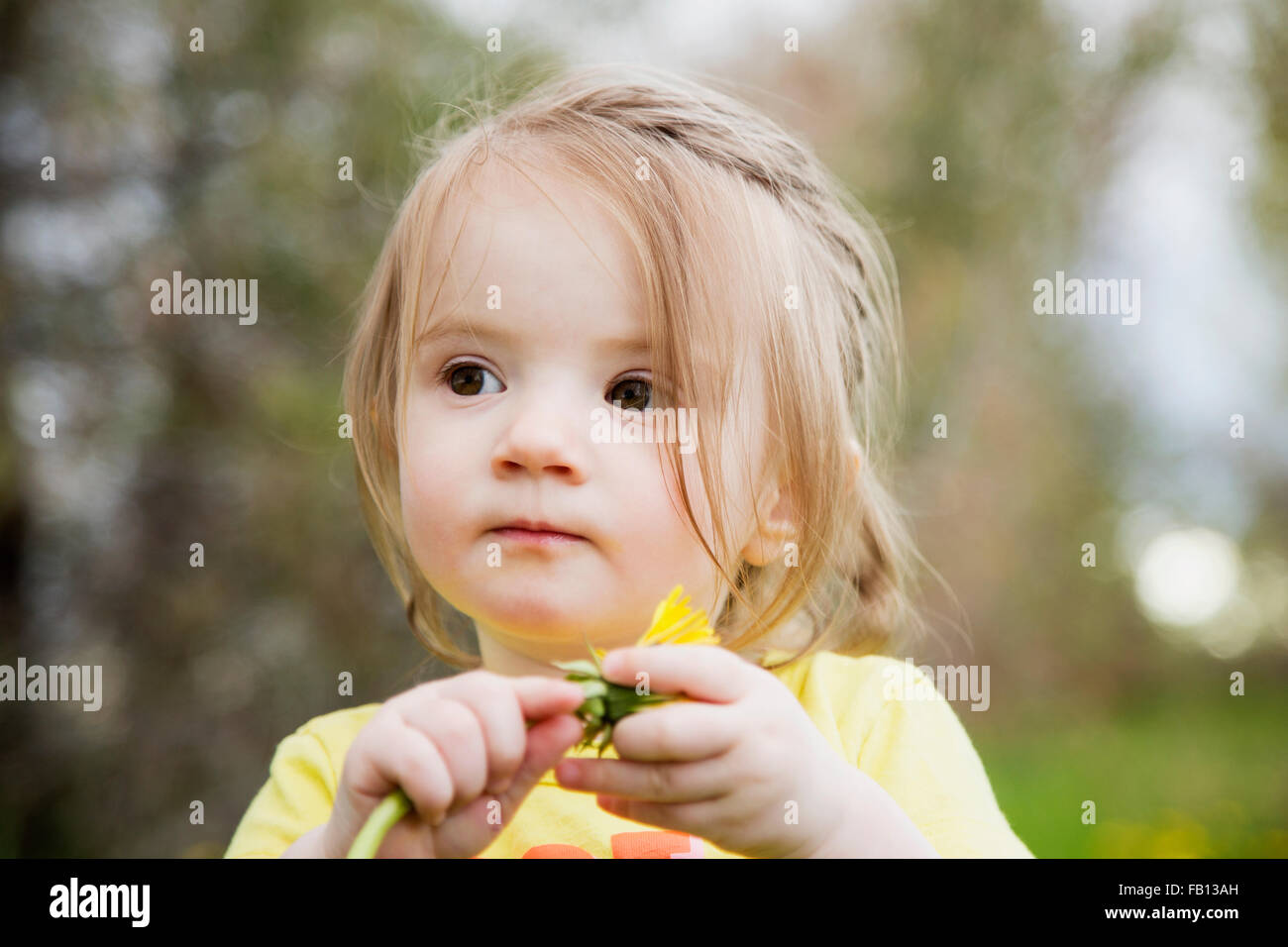 Girl holding yellow flower portrait hi-res stock photography and images ...