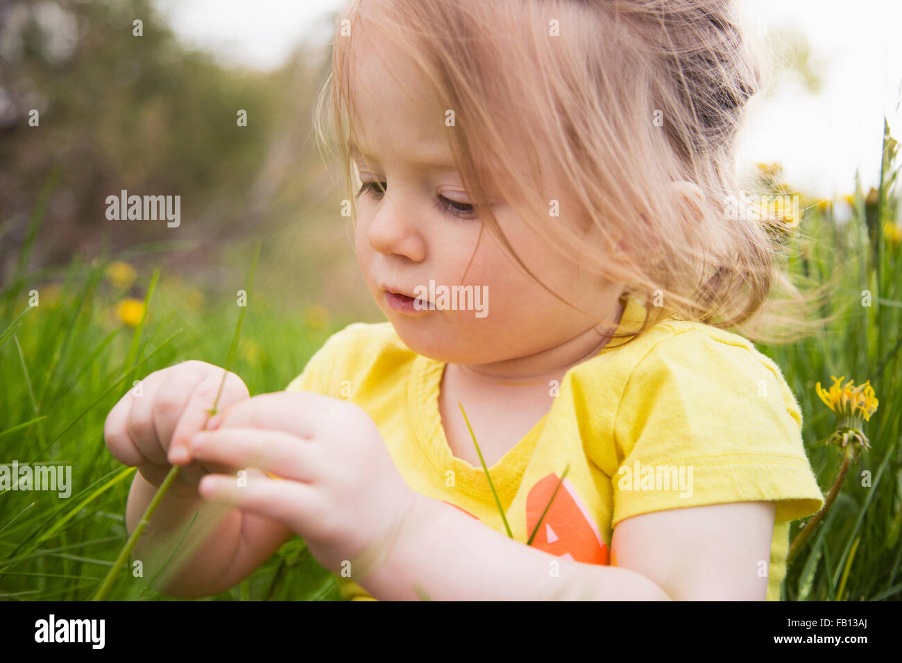 Portrait in grass hi-res stock photography and images - Alamy