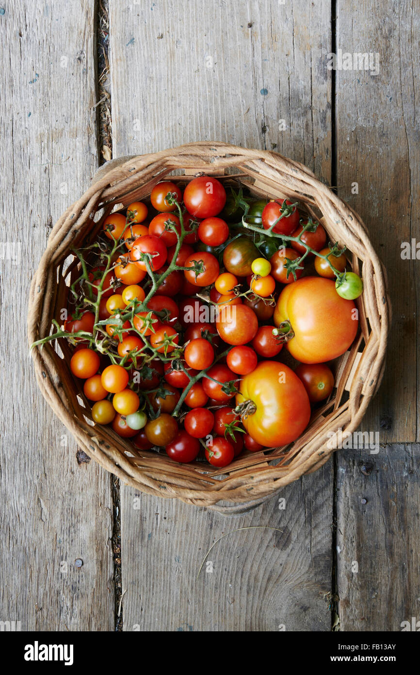 Overhead view of basket with tomatoes Stock Photo - Alamy