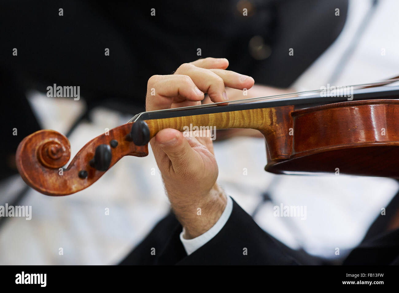 Man Violinist Playing Classical Violin Music in Musical Performance ...