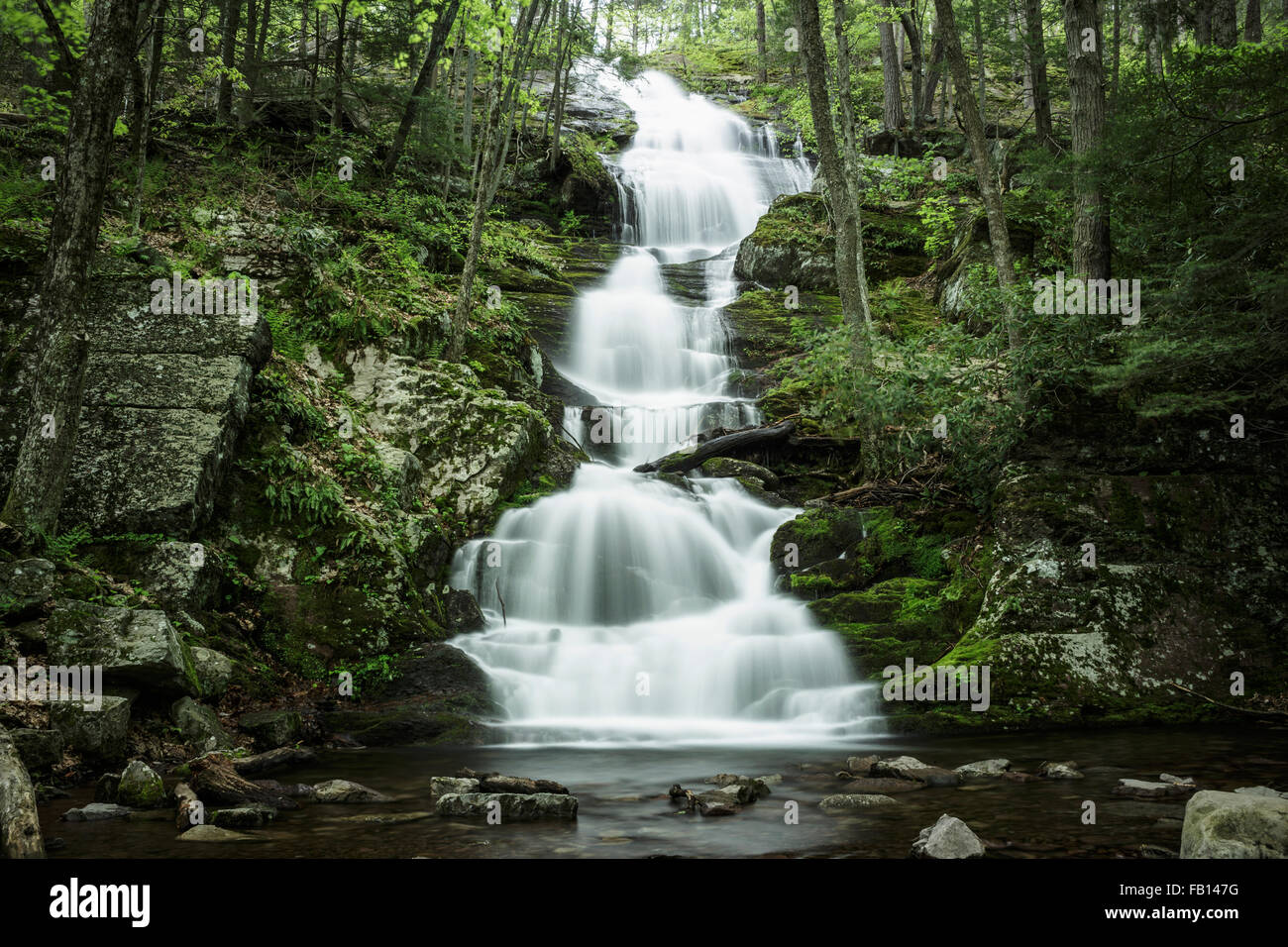 Waterfall falling into river in middle of forest Stock Photo - Alamy