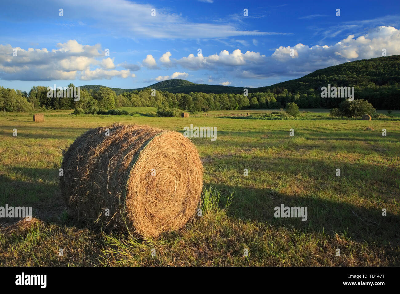 Hay bale landscape hi-res stock photography and images - Alamy