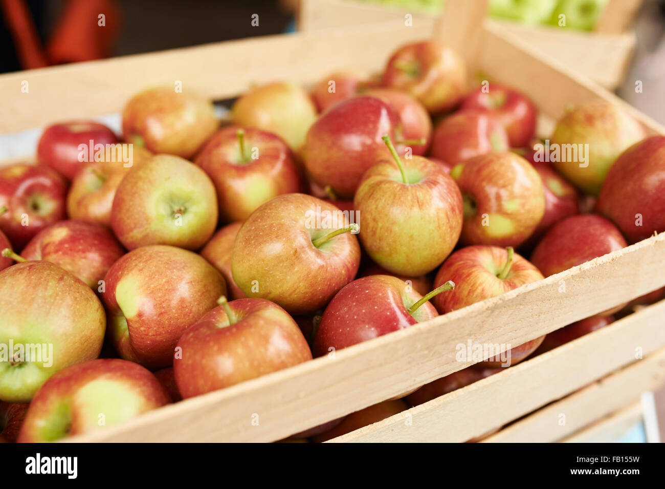 Farmers picking fruit hi-res stock photography and images - Alamy