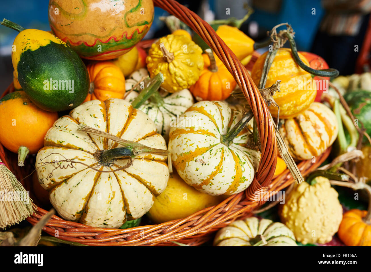 Different colored pumpkins hi-res stock photography and images - Alamy
