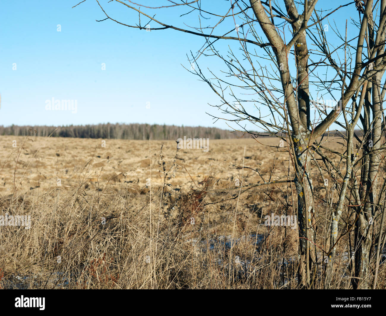 Midday sunny hi-res stock photography and images - Alamy