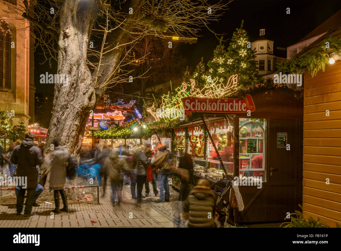 Big tree log hi-res stock photography and images - Alamy