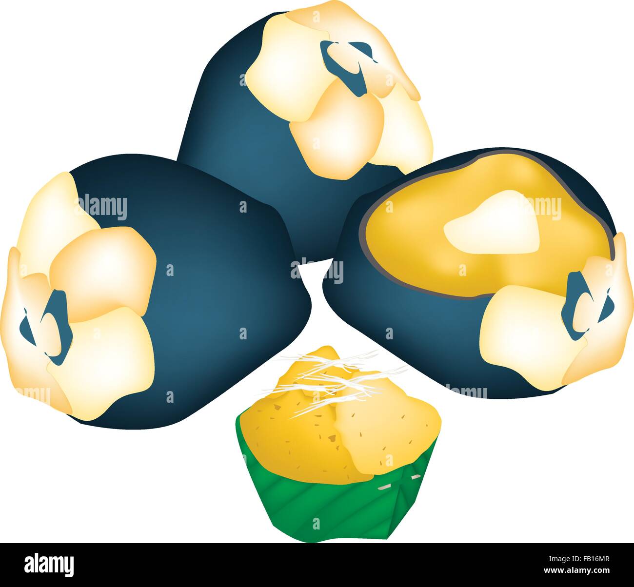 Toddy palm sugar Stock Vector Images - Alamy