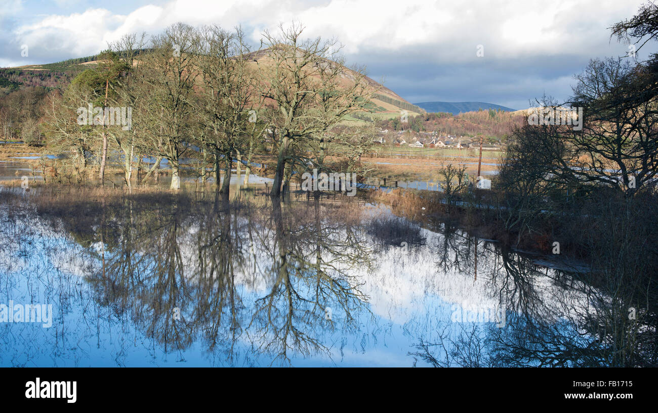 Flooded fields in the scottish borders. Scotland Stock Photo - Alamy