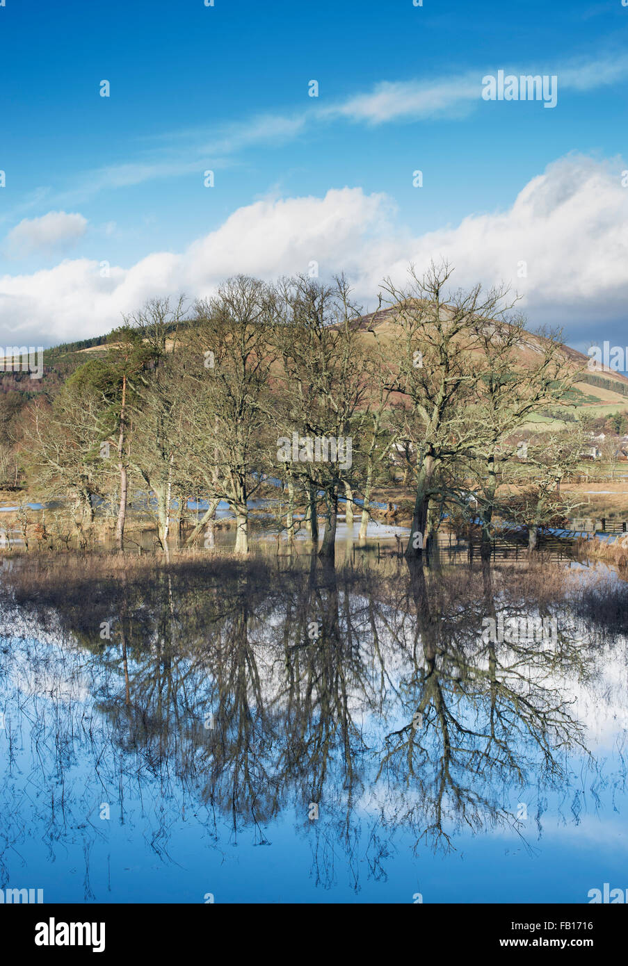 Flooded fields in the scottish borders. Scotland Stock Photo - Alamy