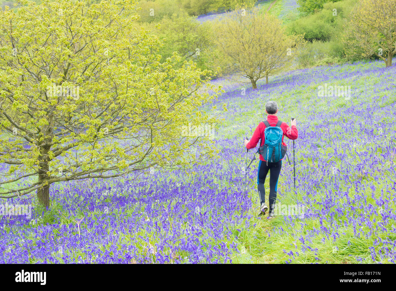 Male walker hi-res stock photography and images - Alamy