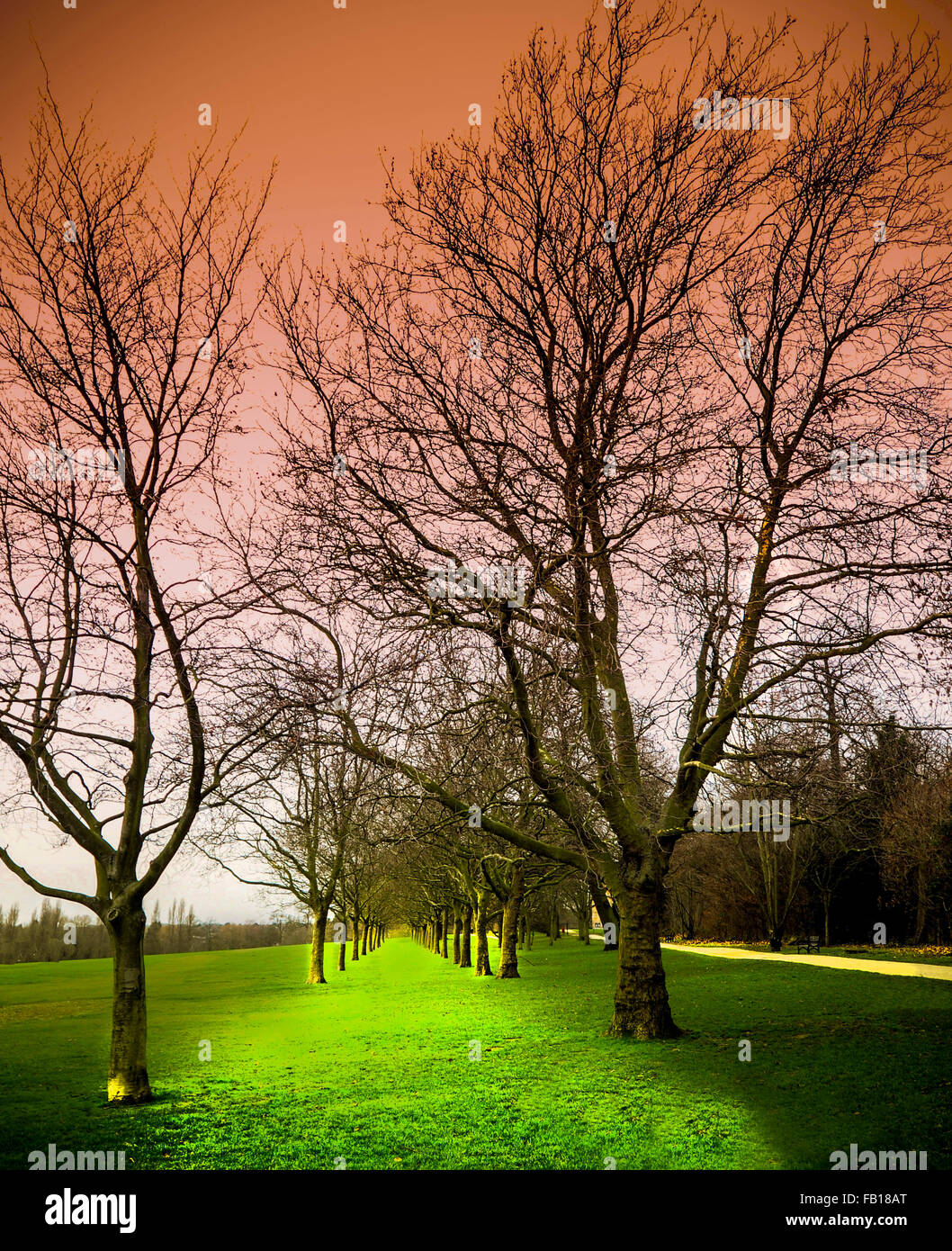 Danson park london High Resolution Stock Photography and Images - Alamy