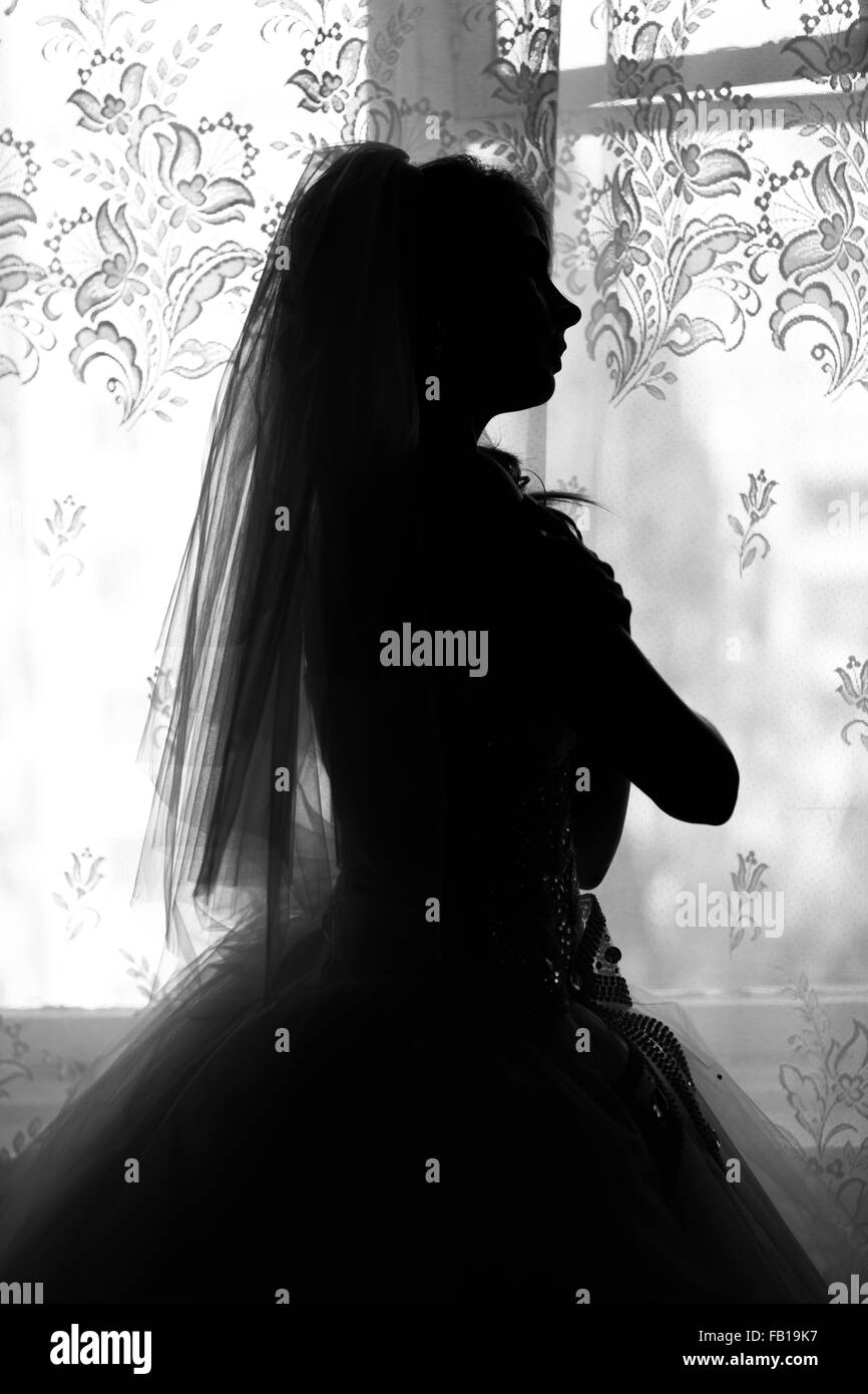 Silhouette of the bride weared in dress Stock Photo - Alamy