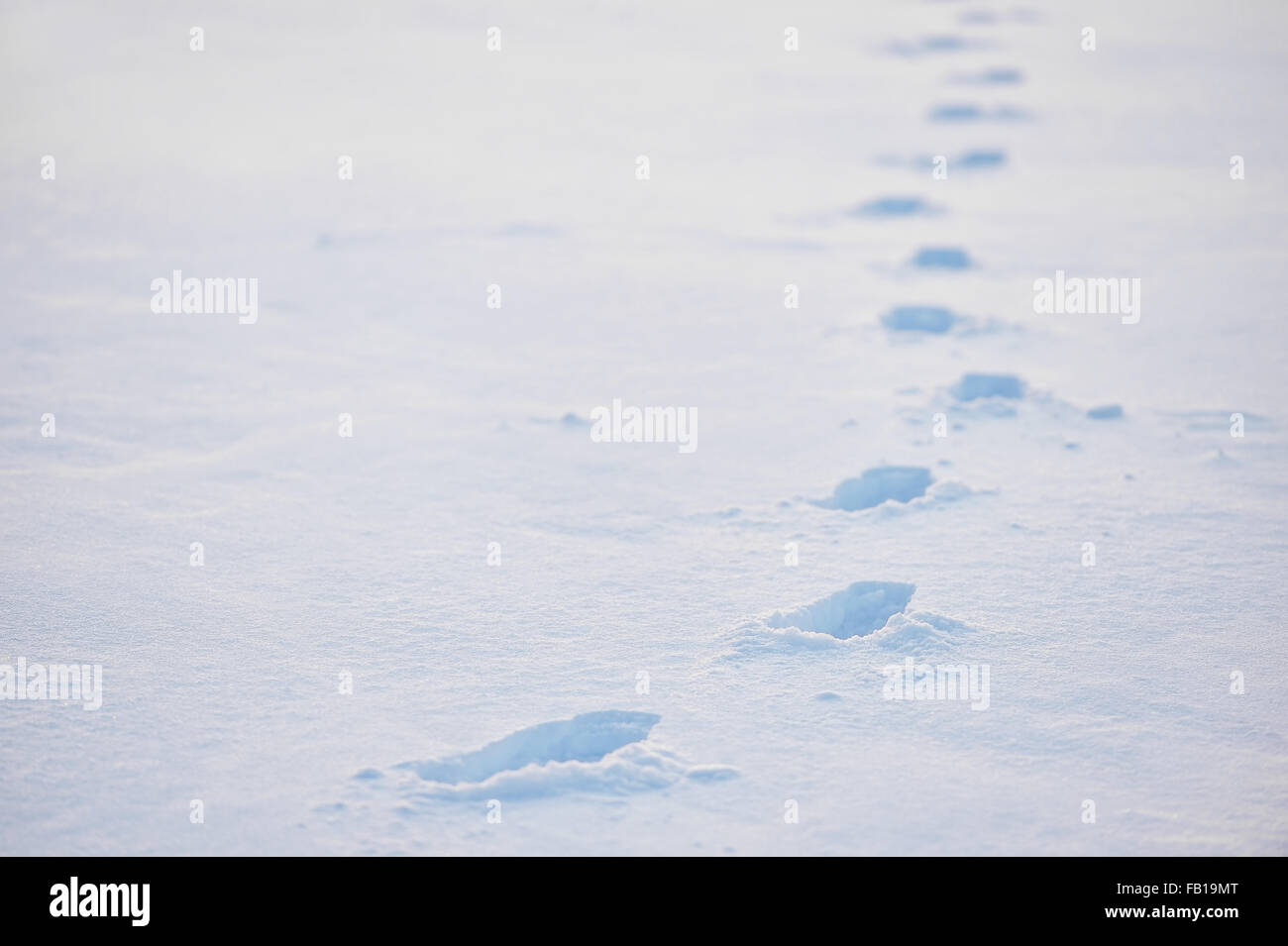 Lost footprints hi-res stock photography and images - Alamy