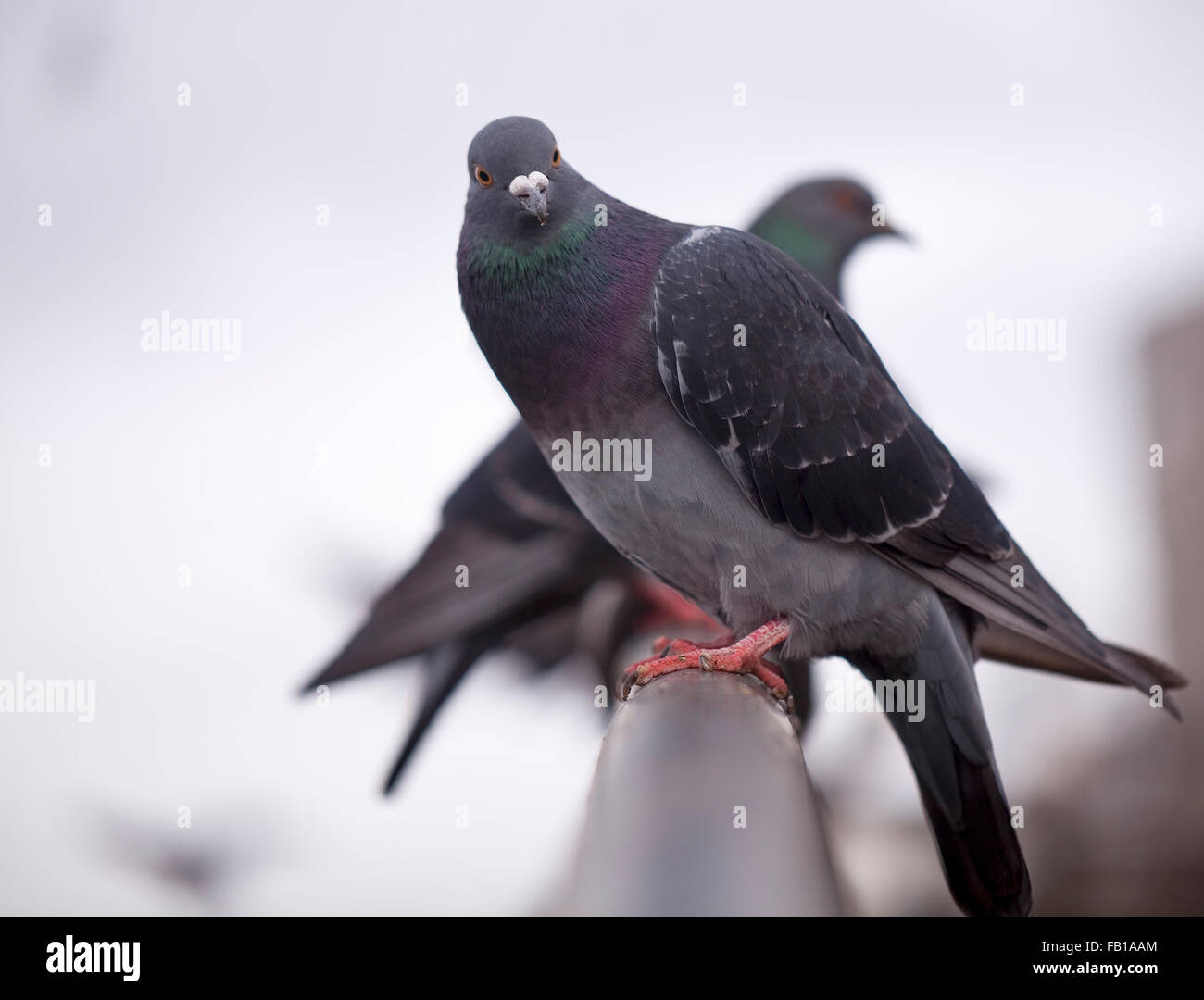 Well depth hi-res stock photography and images - Alamy