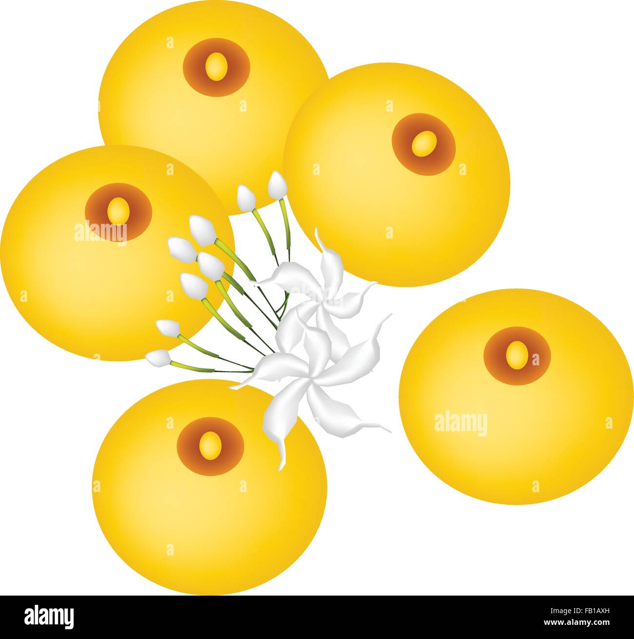 Thai Traditional Dessert, Illustration of Charming Moon or Rice Flour ...