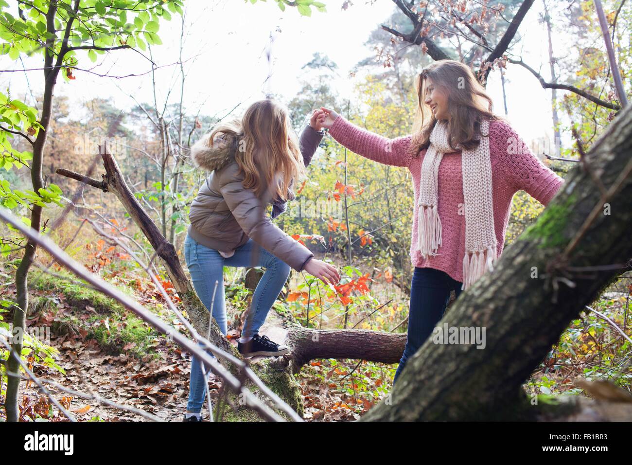 Teenage girl in forest helping friend to climb on fallen tree trunk ...