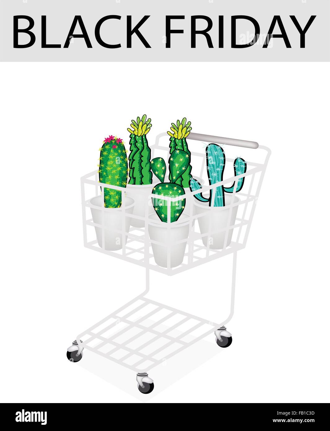 A Shopping Cart Full with Various Type of Cactus for Black Friday ...