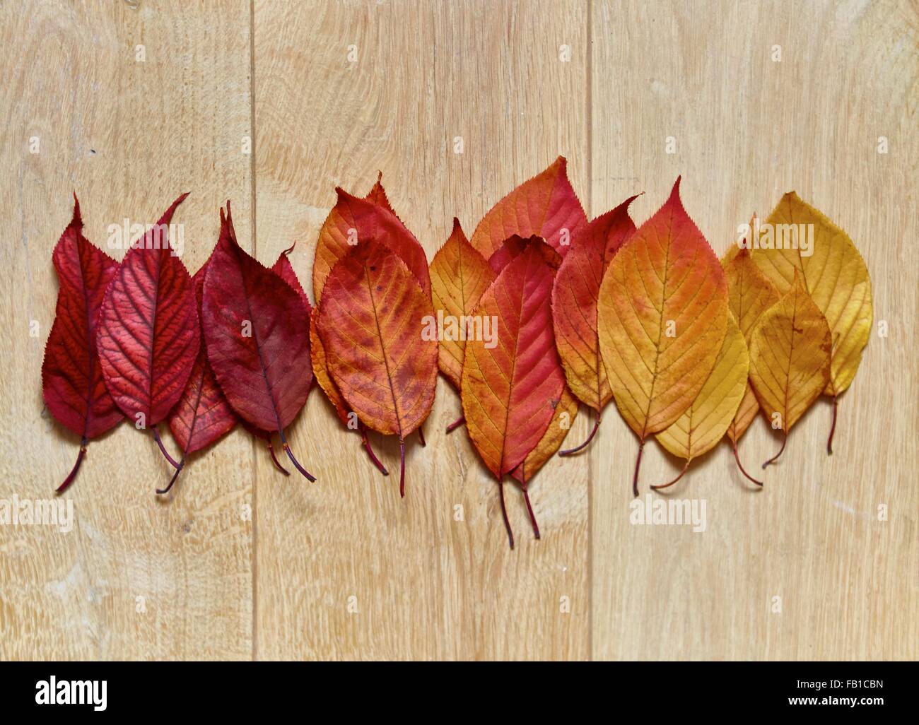 Overhead view table hi-res stock photography and images - Alamy