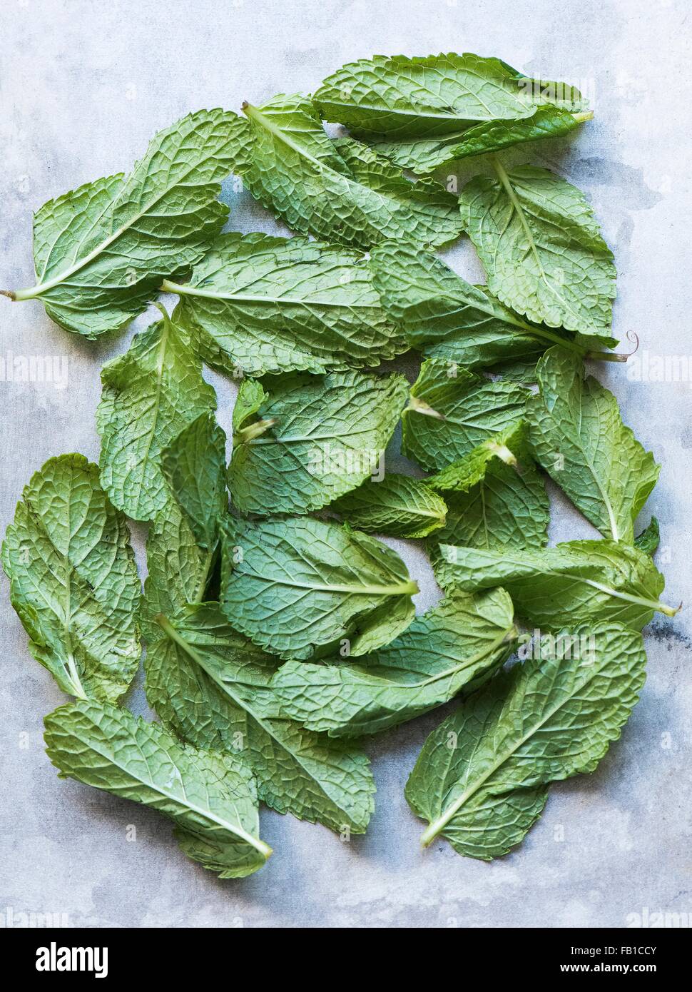 Overhead shot of leaves hi-res stock photography and images - Alamy