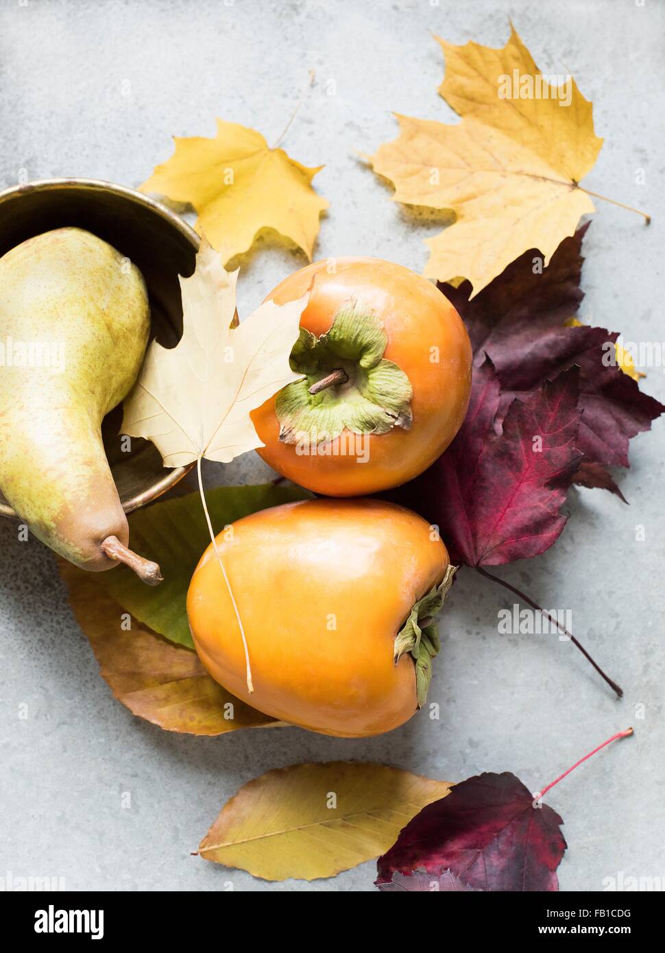 Overhead autumn leaves hi-res stock photography and images - Alamy