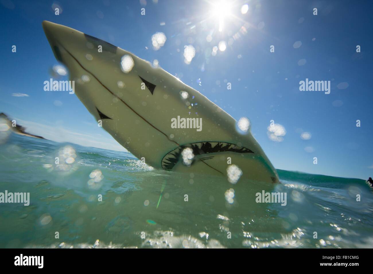 Shark surfboard hi-res stock photography and images - Alamy