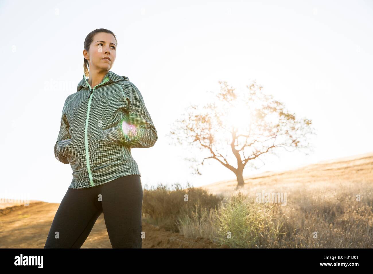 Female runner looking out from sunlit hill Stock Photo - Alamy