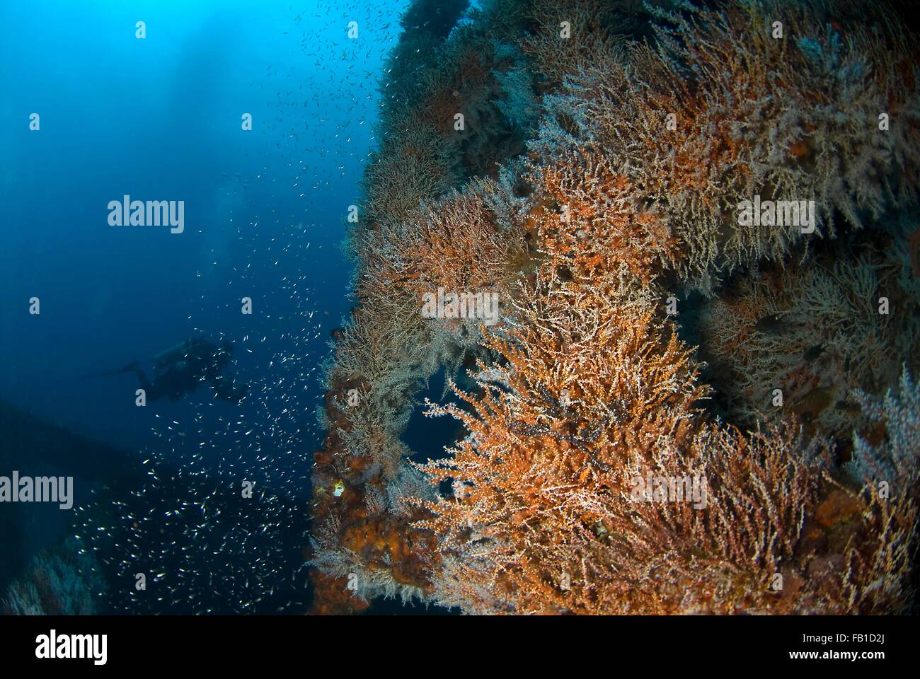 Oil rig and underwater hi-res stock photography and images - Alamy