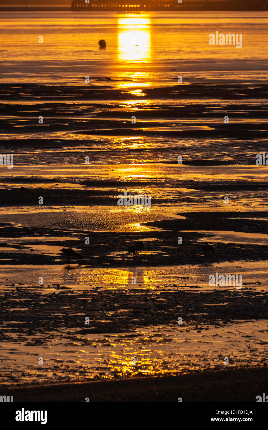 Thorpe bay essex hi-res stock photography and images - Alamy