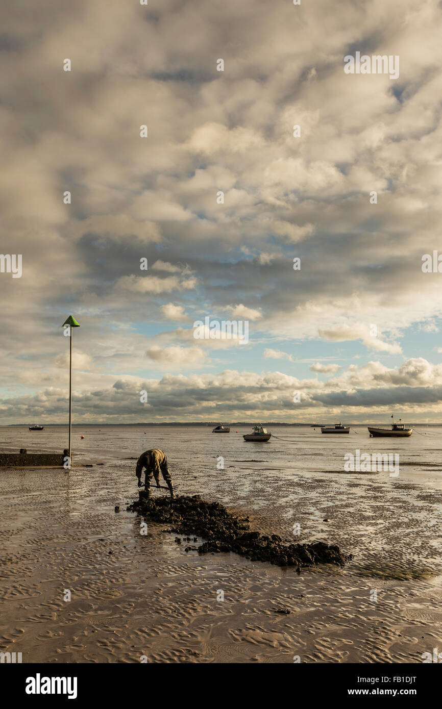Thames Digging High Resolution Stock Photography and Images - Alamy