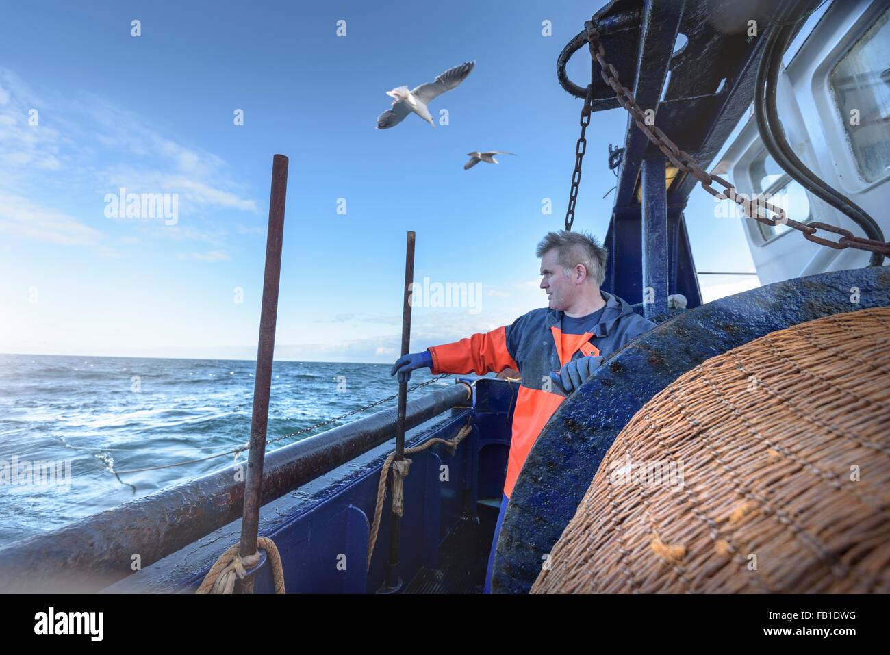 Person looking at the sea hi-res stock photography and images - Alamy
