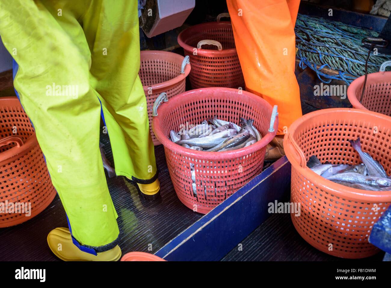 Fish Anatomy High Resolution Stock Photography and Images - Alamy
