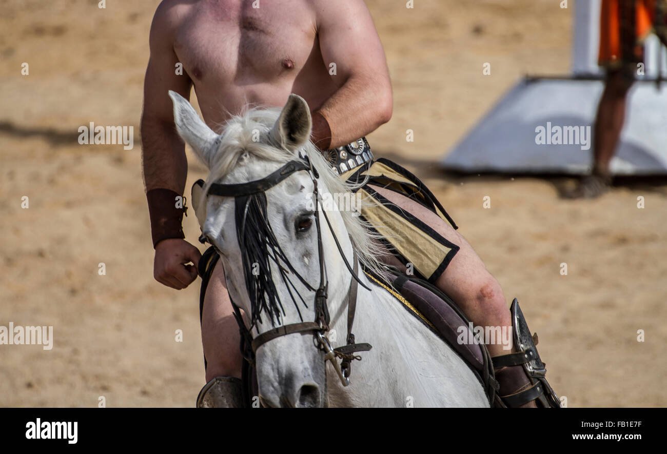 gladiator fights in the arena of the Roman circus, representation Stock ...