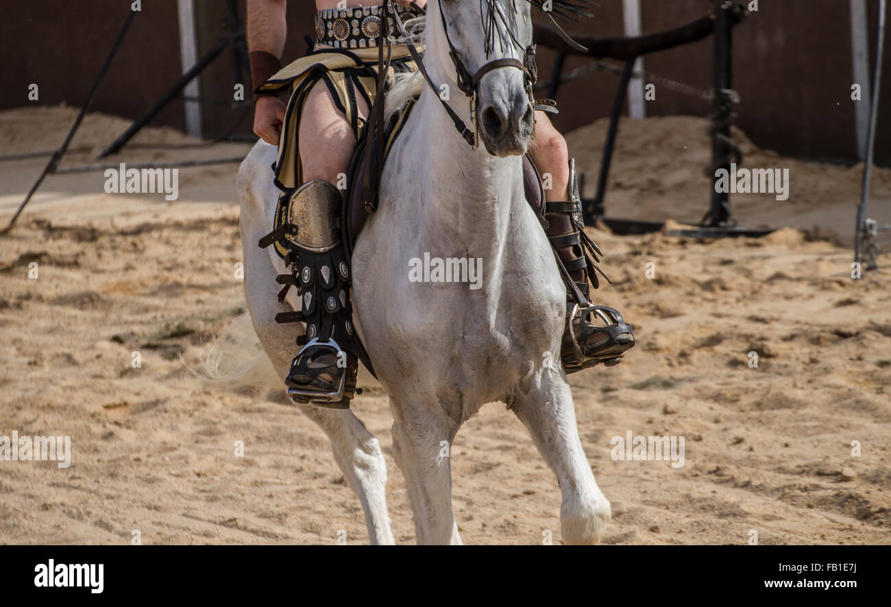 gladiator fights in the arena of the Roman circus, representation Stock ...