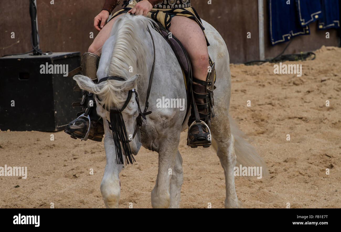 gladiator fights in the arena of the Roman circus, representation Stock ...
