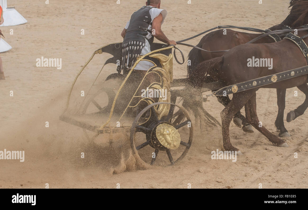 Roman gladiators animals hi-res stock photography and images - Alamy