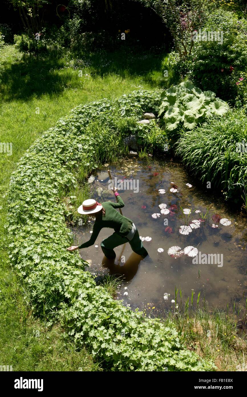 High angle view of mature woman in garden cleaning out pond Stock Photo ...