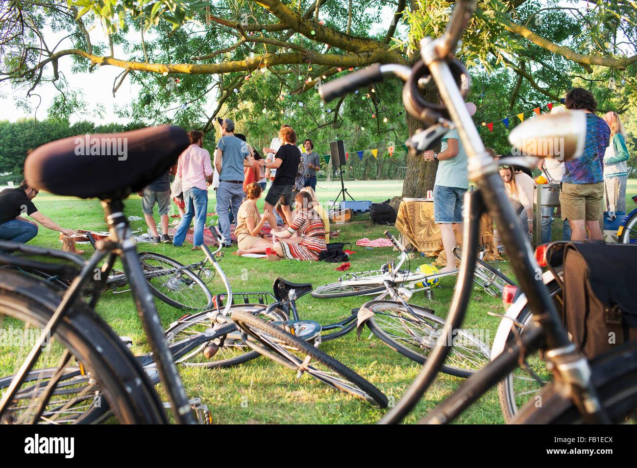 Happy adult crowd at sunset party in park Stock Photo - Alamy