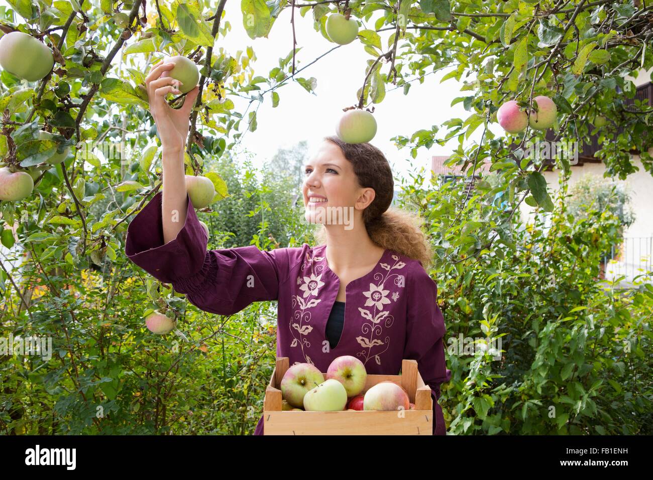 Girl with apples hi-res stock photography and images - Alamy