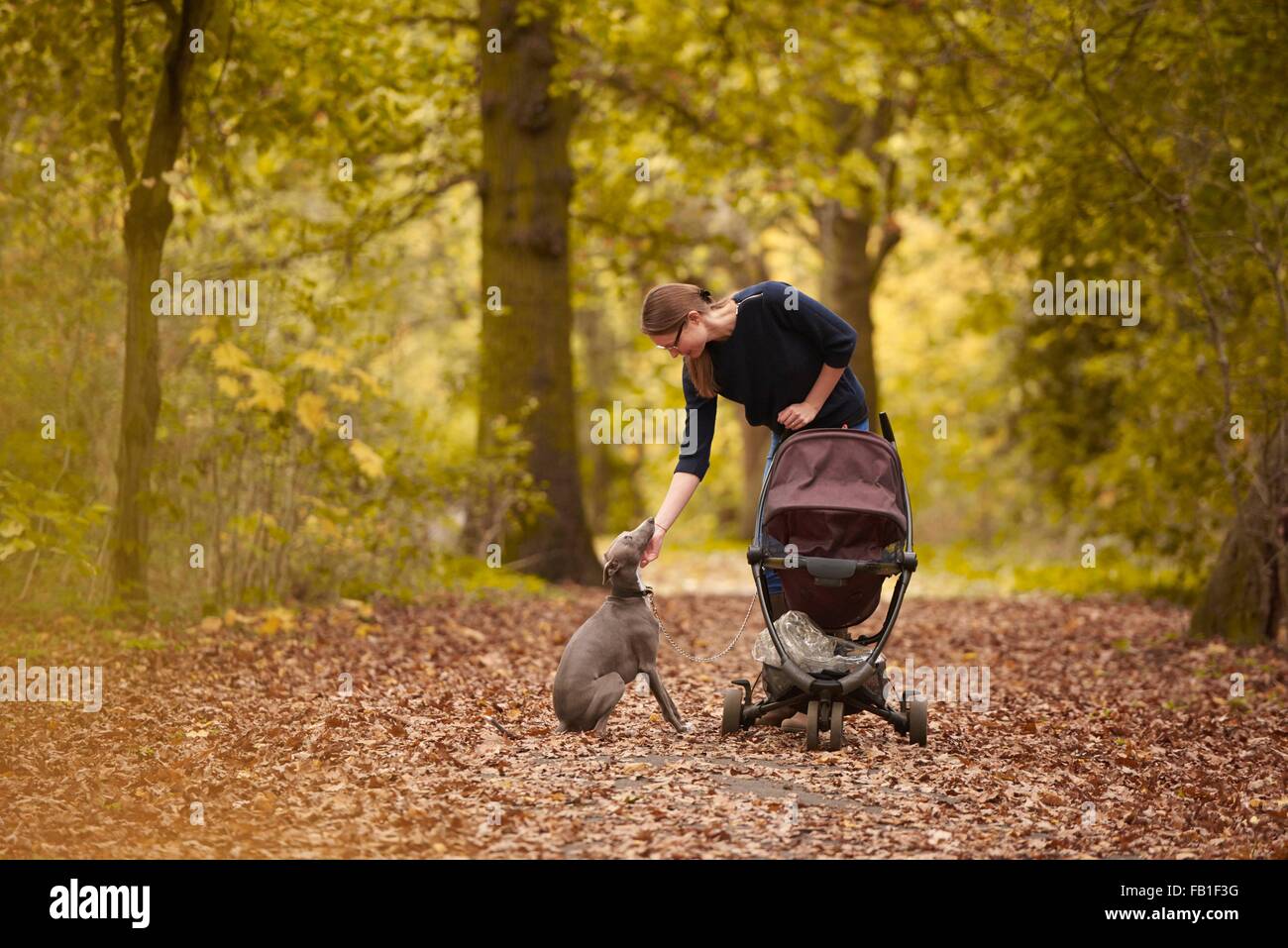 Mother pushing baby dog hi-res stock photography and images - Alamy