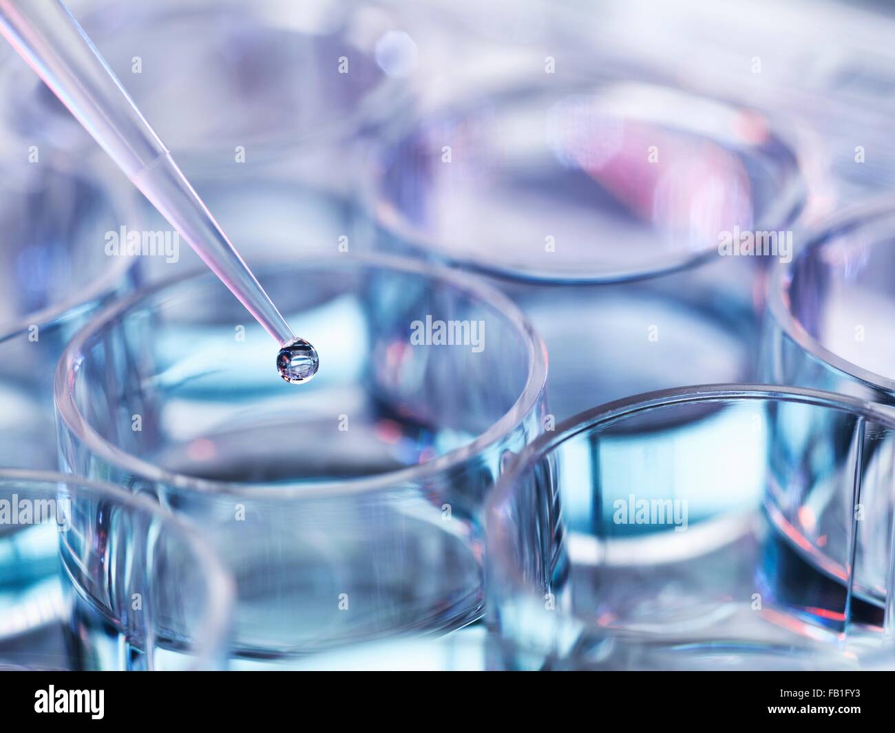 Pipetting hi-res stock photography and images - Alamy