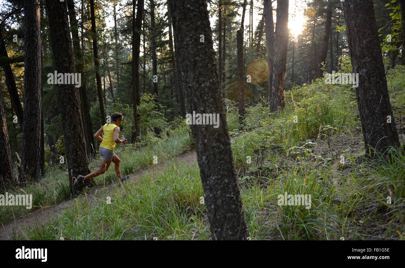 Female runner running up forest path Stock Photo - Alamy