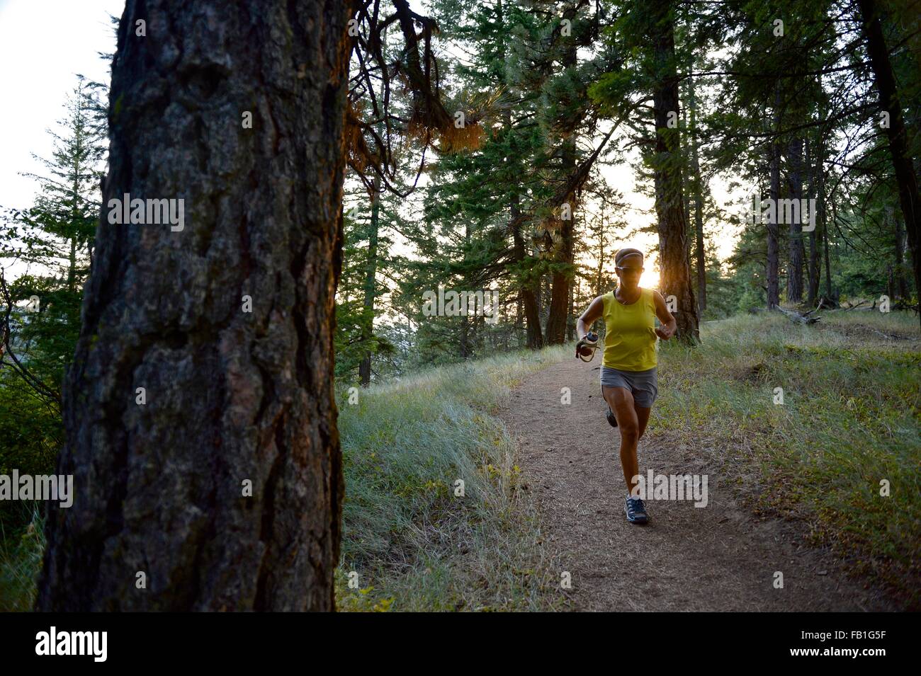 Female runner running on forest path Stock Photo - Alamy
