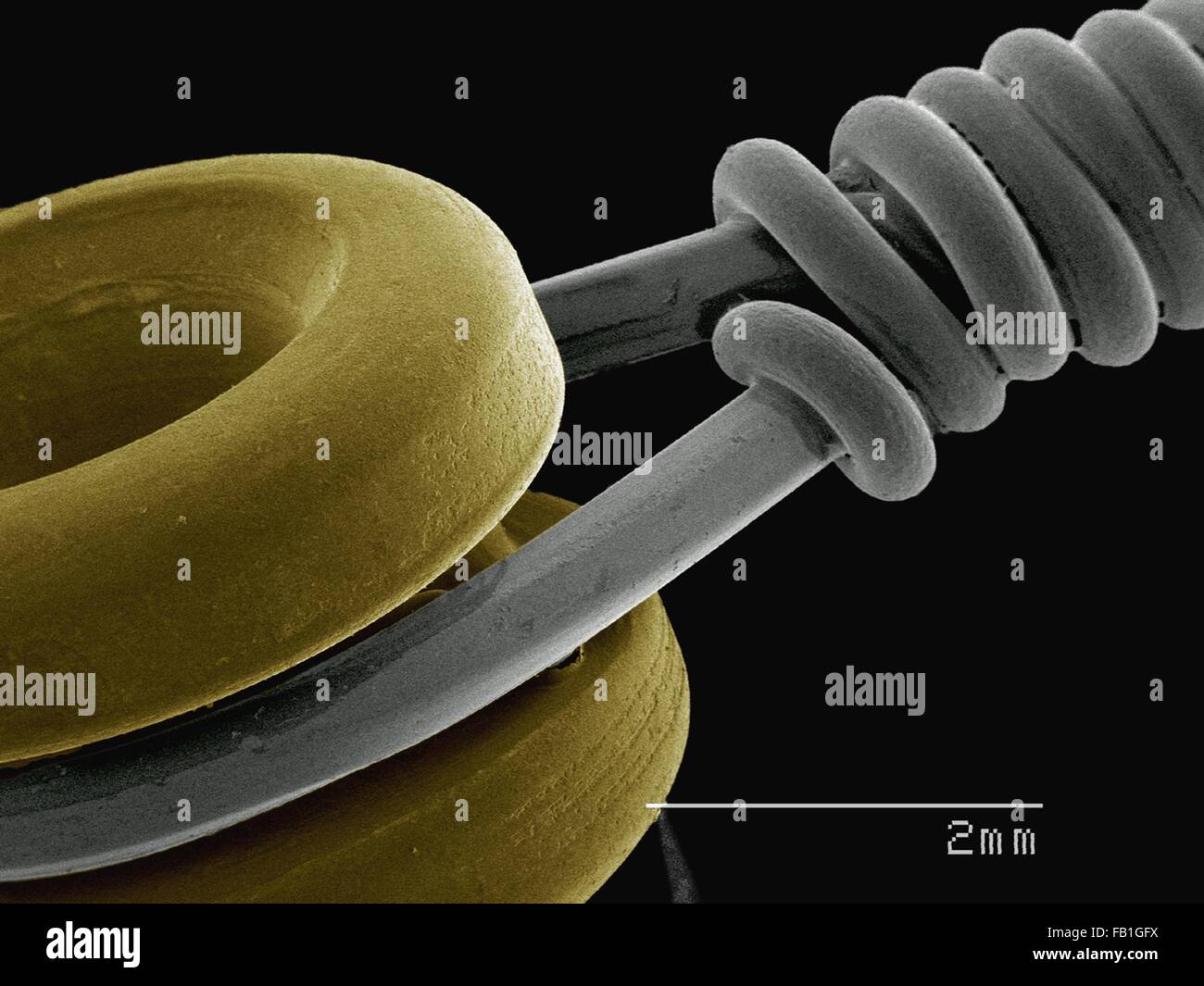 Coloured SEM of guitar string Stock Photo - Alamy