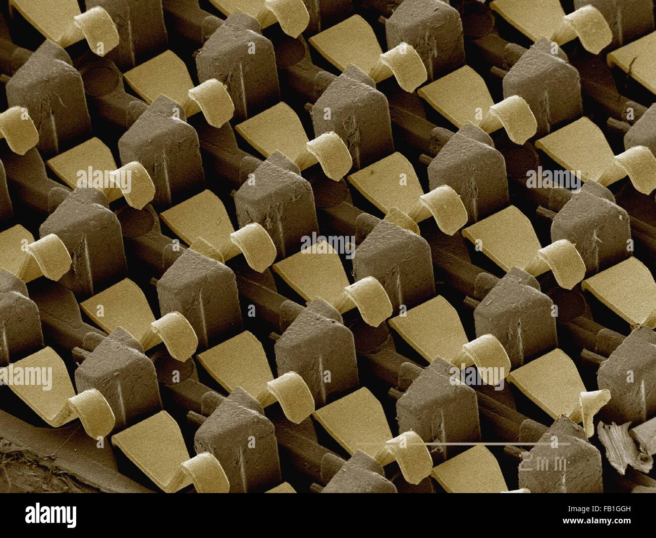 Coloured SEM of computer part Stock Photo - Alamy