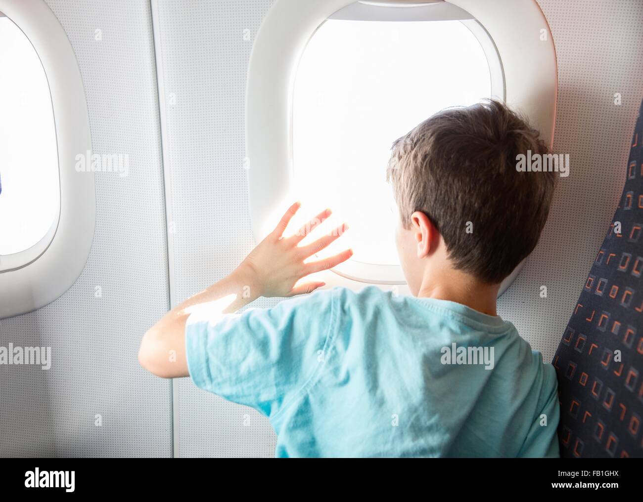 Growing Through Window High Resolution Stock Photography and Images - Alamy