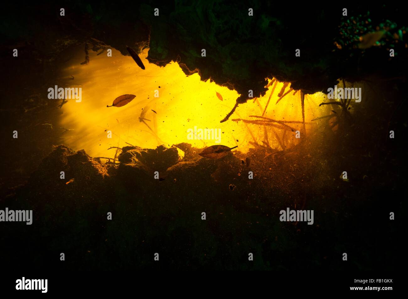 Water changing color as light from the surface passes through suspended ...