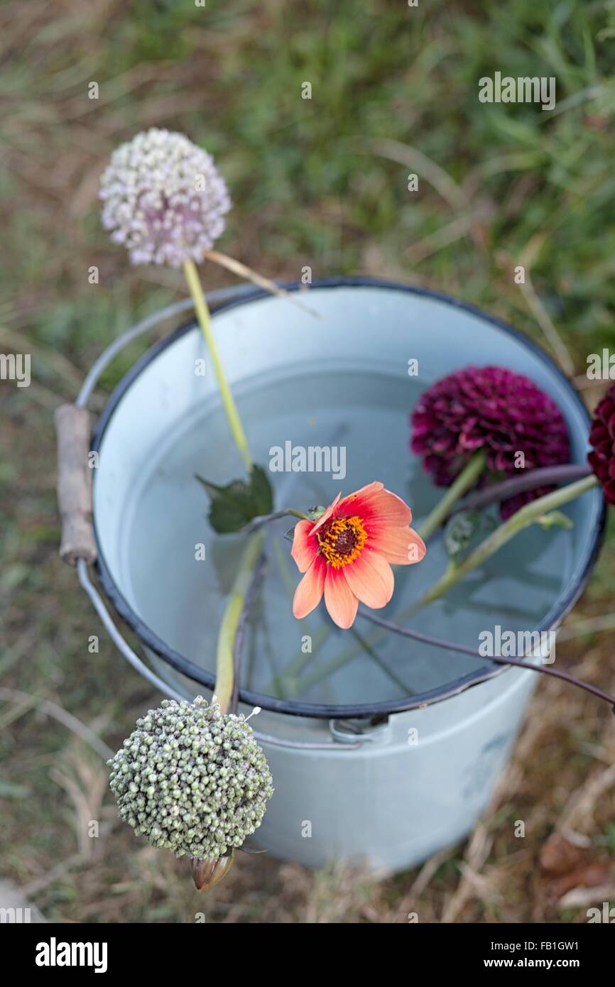 Water container in garden hi-res stock photography and images - Alamy