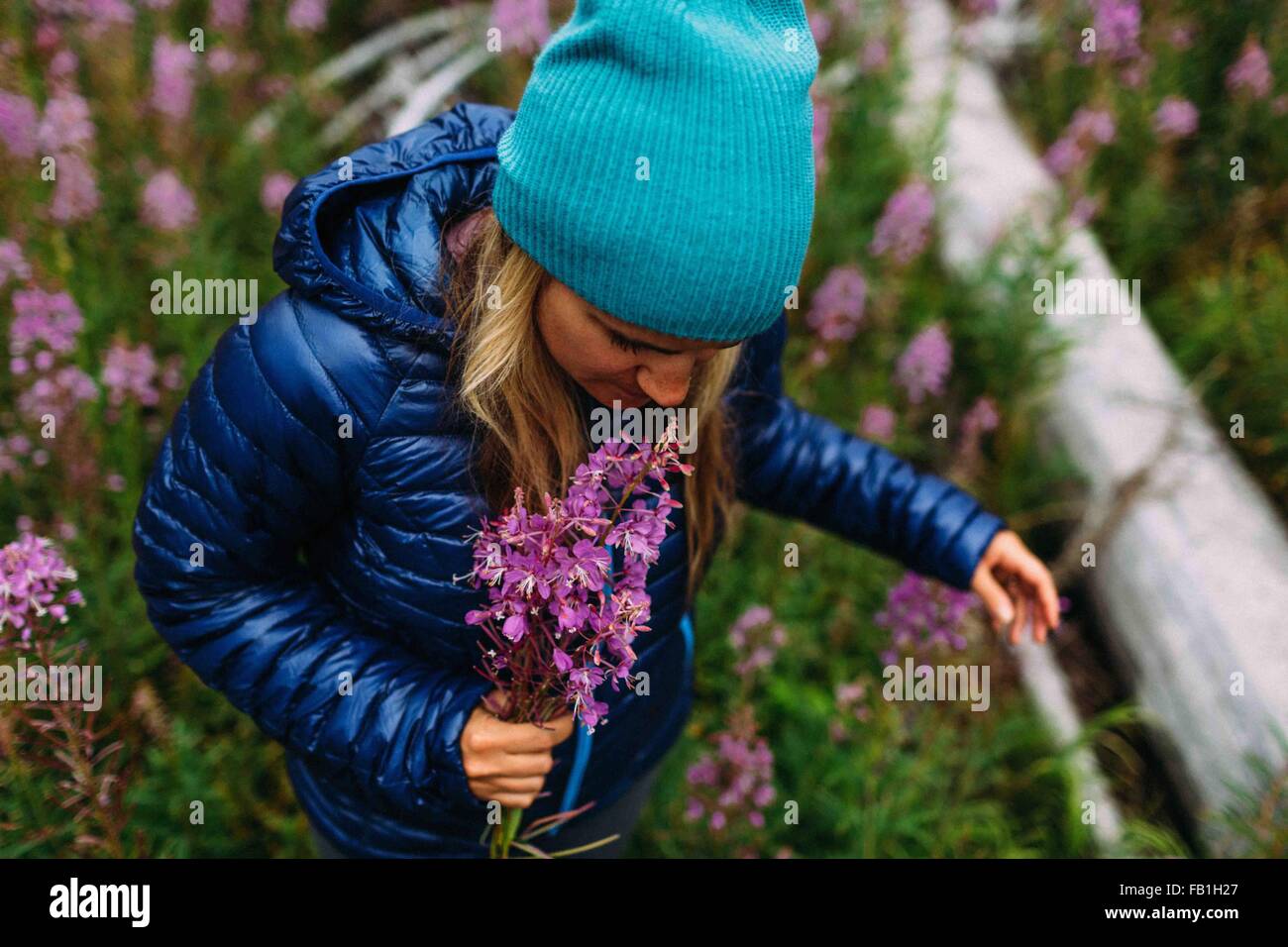 Well padded hi-res stock photography and images - Alamy