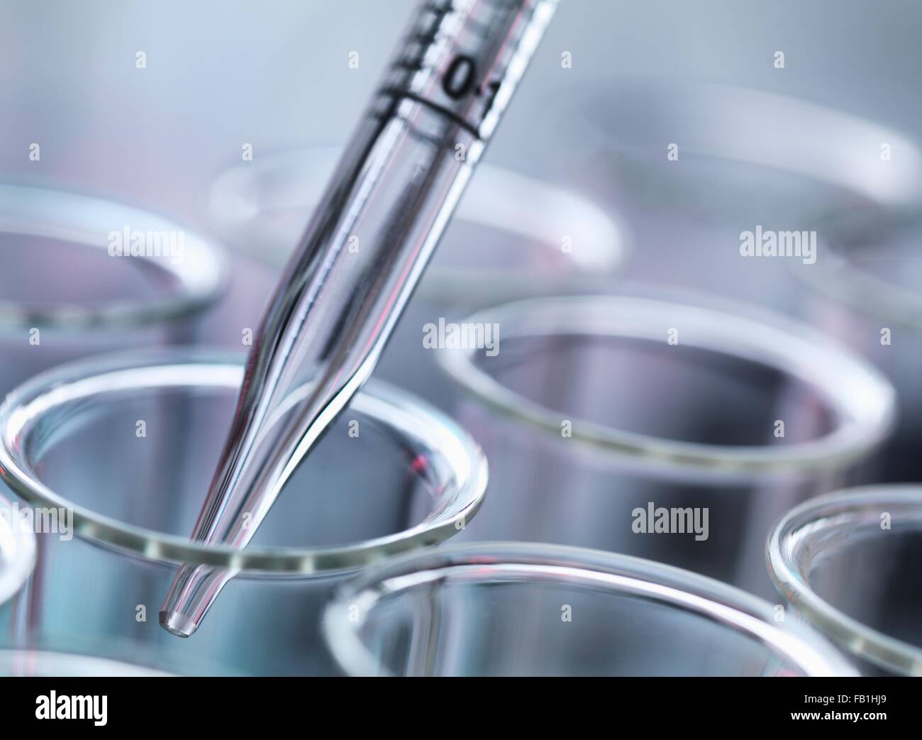 Close up of graduated pipette pipetting liquid into test tube Stock ...